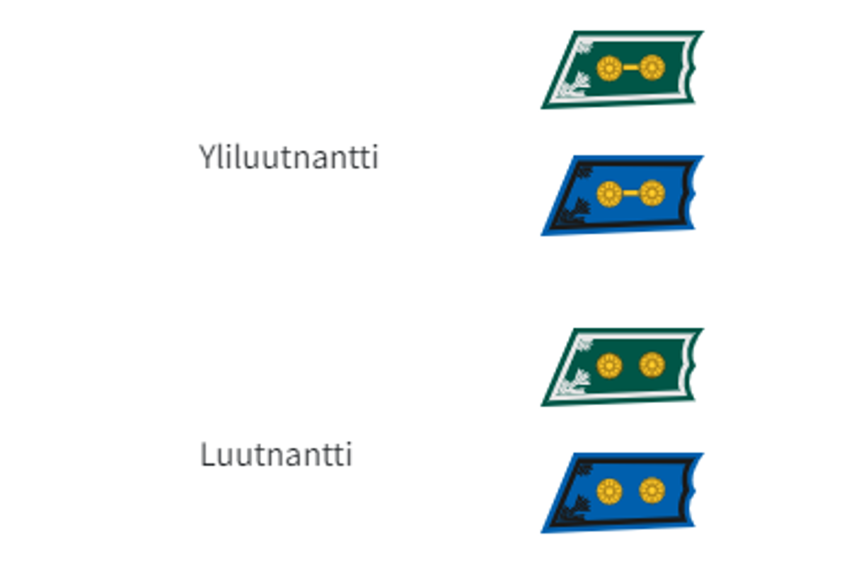Yhdeksän ylennystä Huittisiin ja Sastamalaan - Lauttakylä